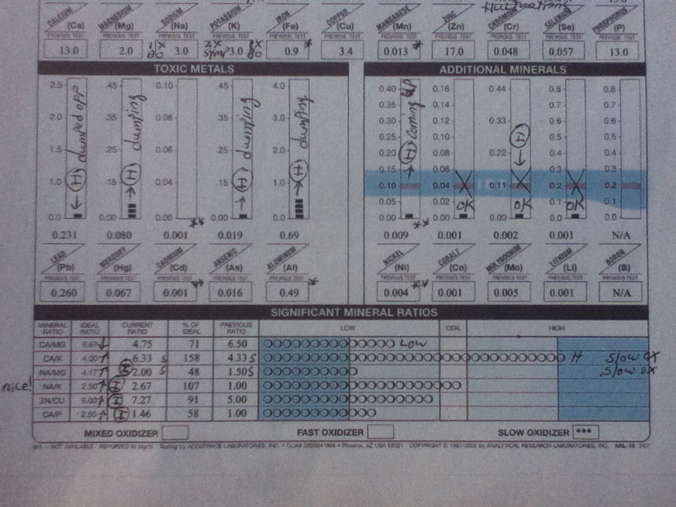 First Repeat Hair Test – April 2014 | Path To Peak Health