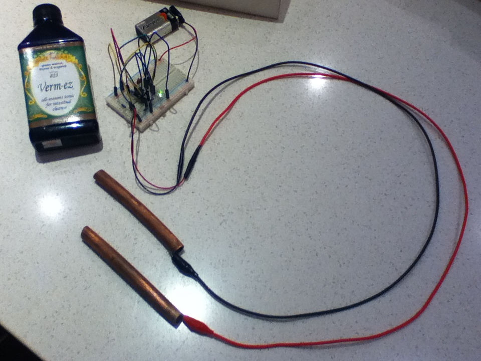 Parasite Cleanse with Herbs and Zapper | Path To Peak Health